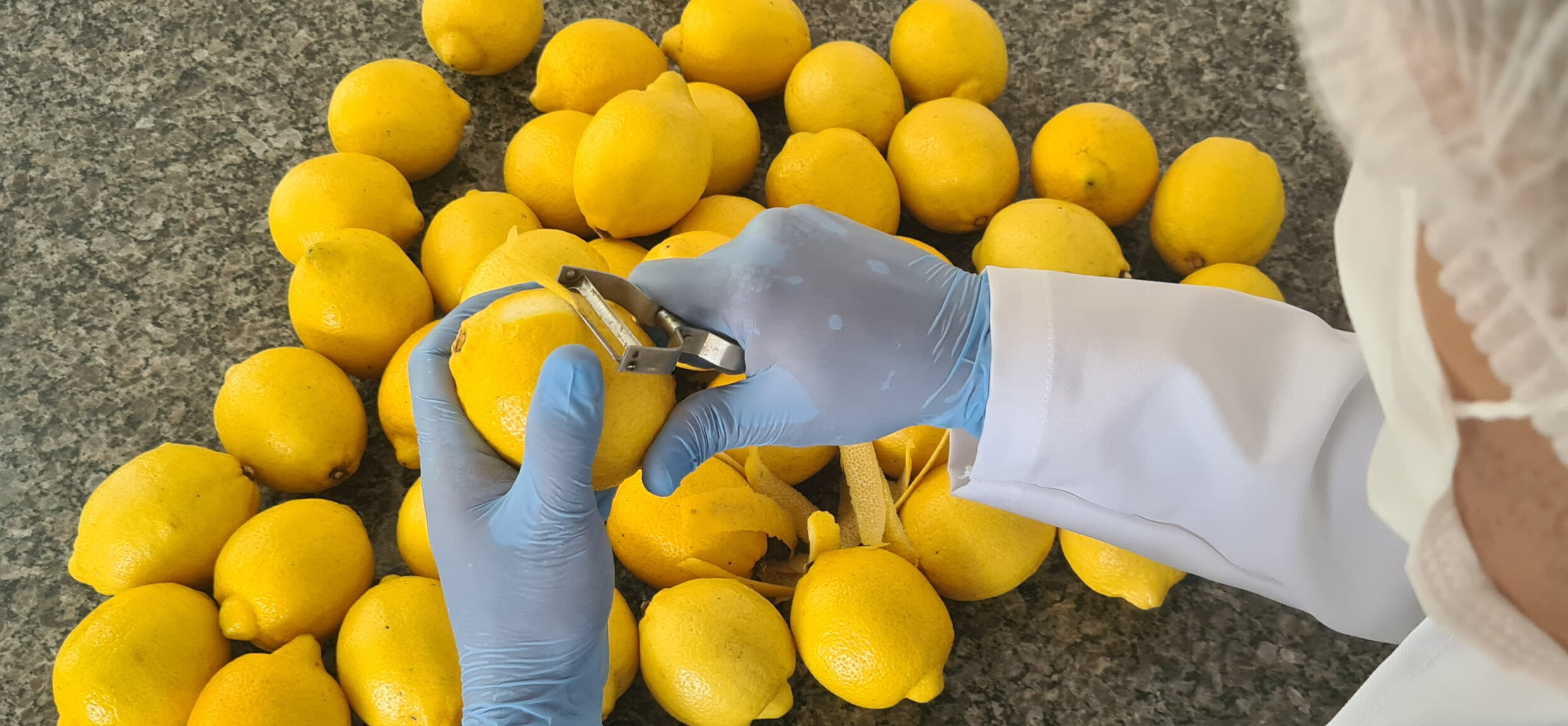 O Segredo do Limoncello da Família Benedetti – Blog Fazenda Benedetti